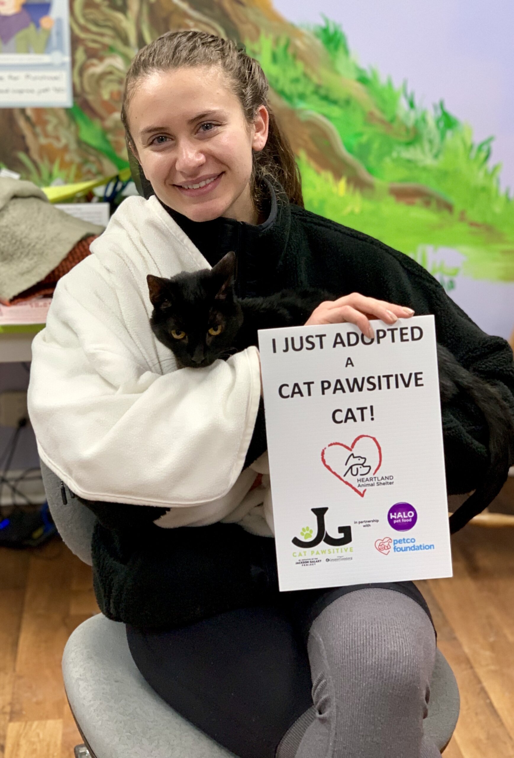 Bellatrix Adoption 3.9, Heartland Animal Shelter - Heartland Animal Shelter