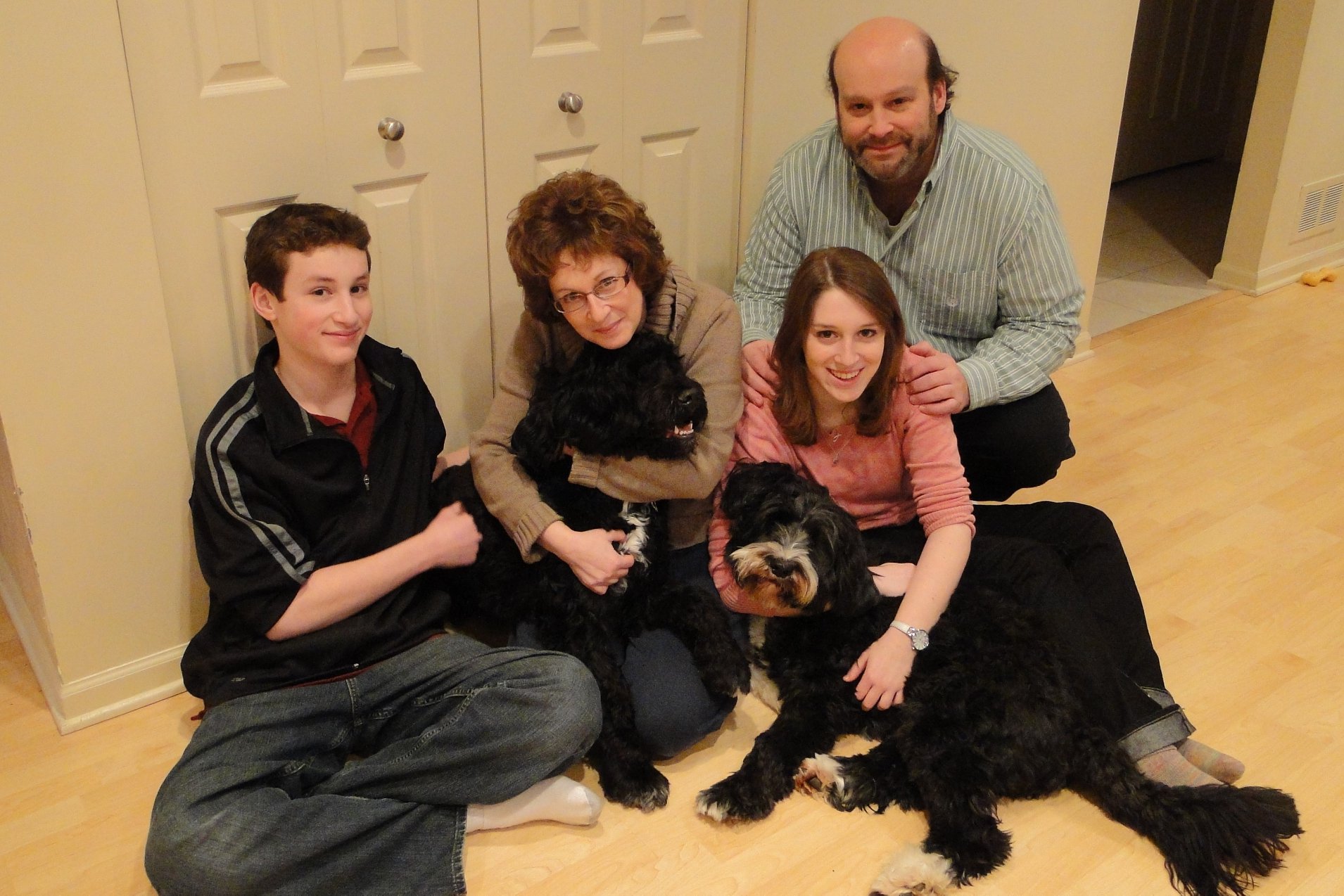 Dani Dog 2 - Heartland Animal Shelter