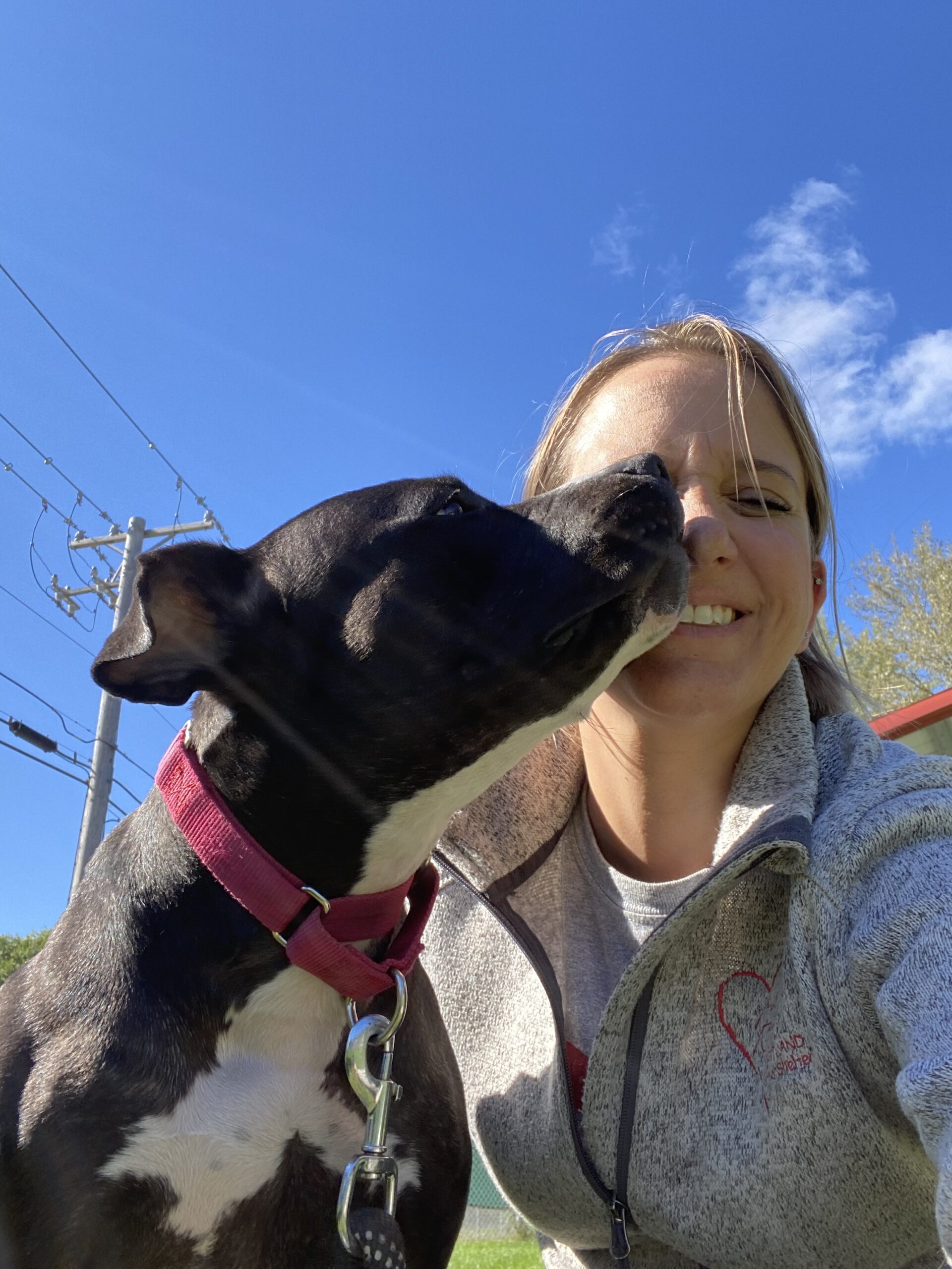 Doree - Heartland Animal Shelter