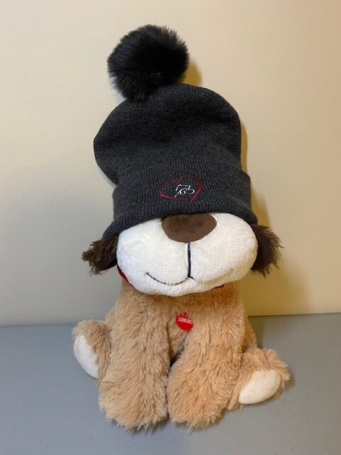 Heartland Dark Grey Pom Pom - Heartland Animal Shelter