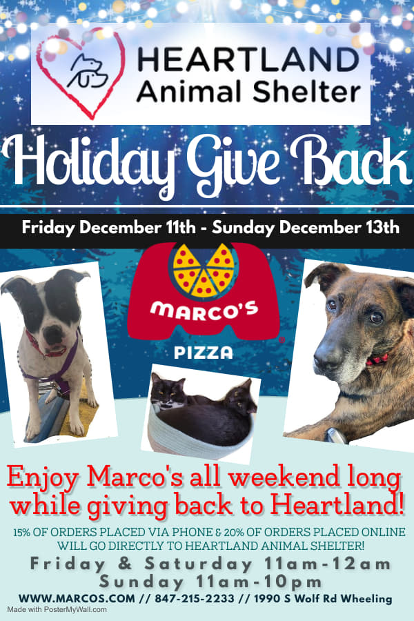 What Happened To The Wolf Dog On Heartland