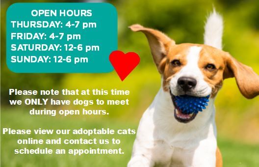 Pet Resources | Heartland Animal Shelter