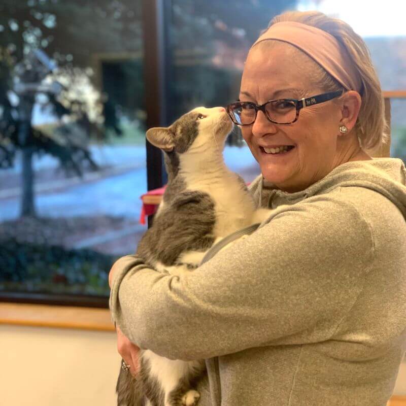 Taxi - Heartland Animal Shelter