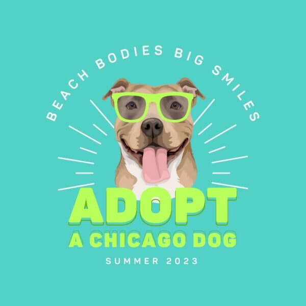 Adoptable Dogs | Heartland Animal Shelter