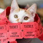 cat tickets - Heartland Animal Shelter